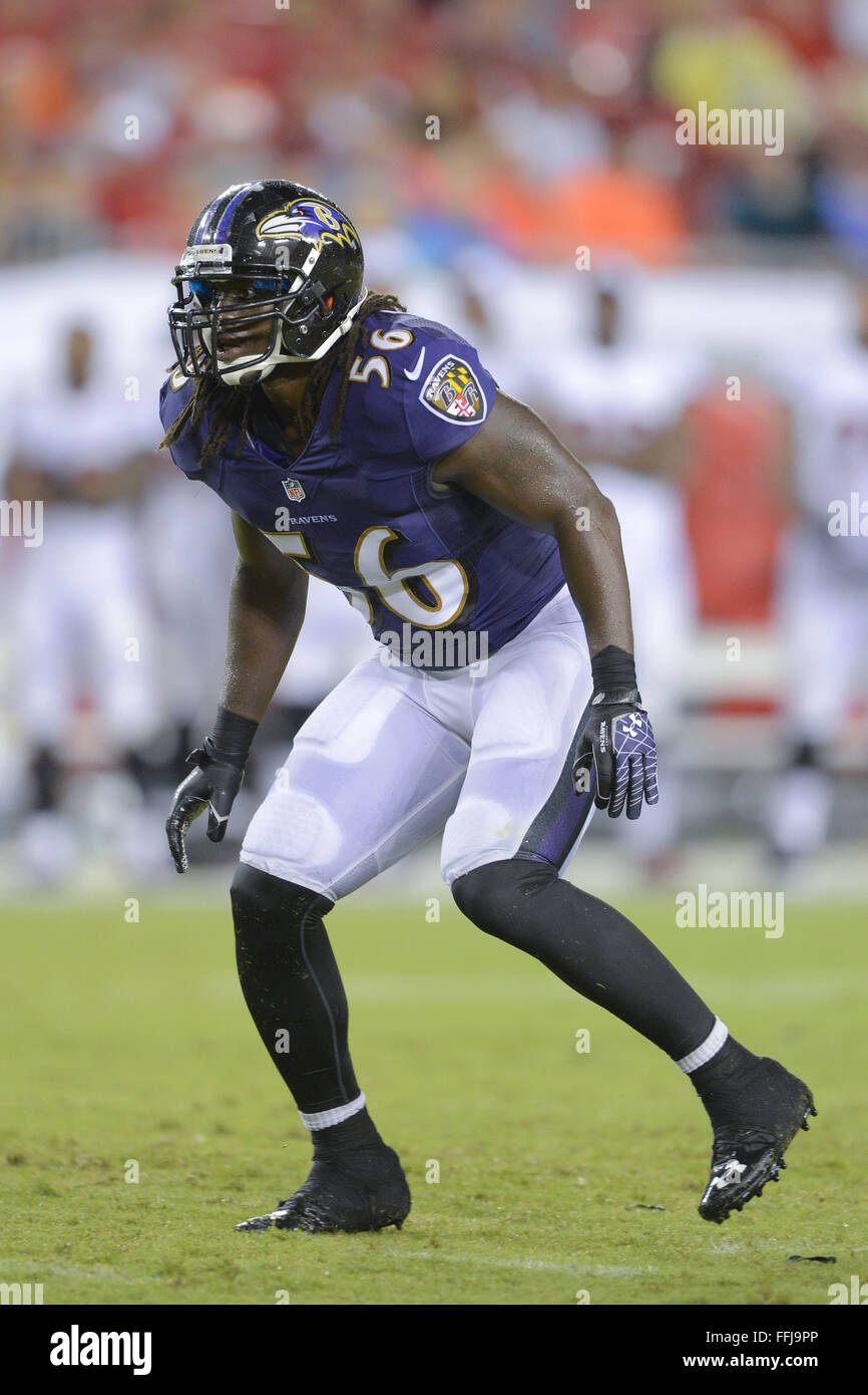 Baltimore ravens josh bynes hi-res stock photography and images - Alamy