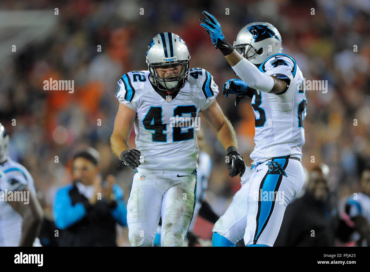 Tampa, FL, USA. 24th Oct, 2013. Carolina Panthers defensive back Colin ...
