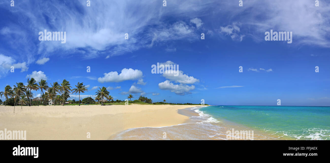Caribbean tropical beach with beautiful white sand, turquoise water and ...