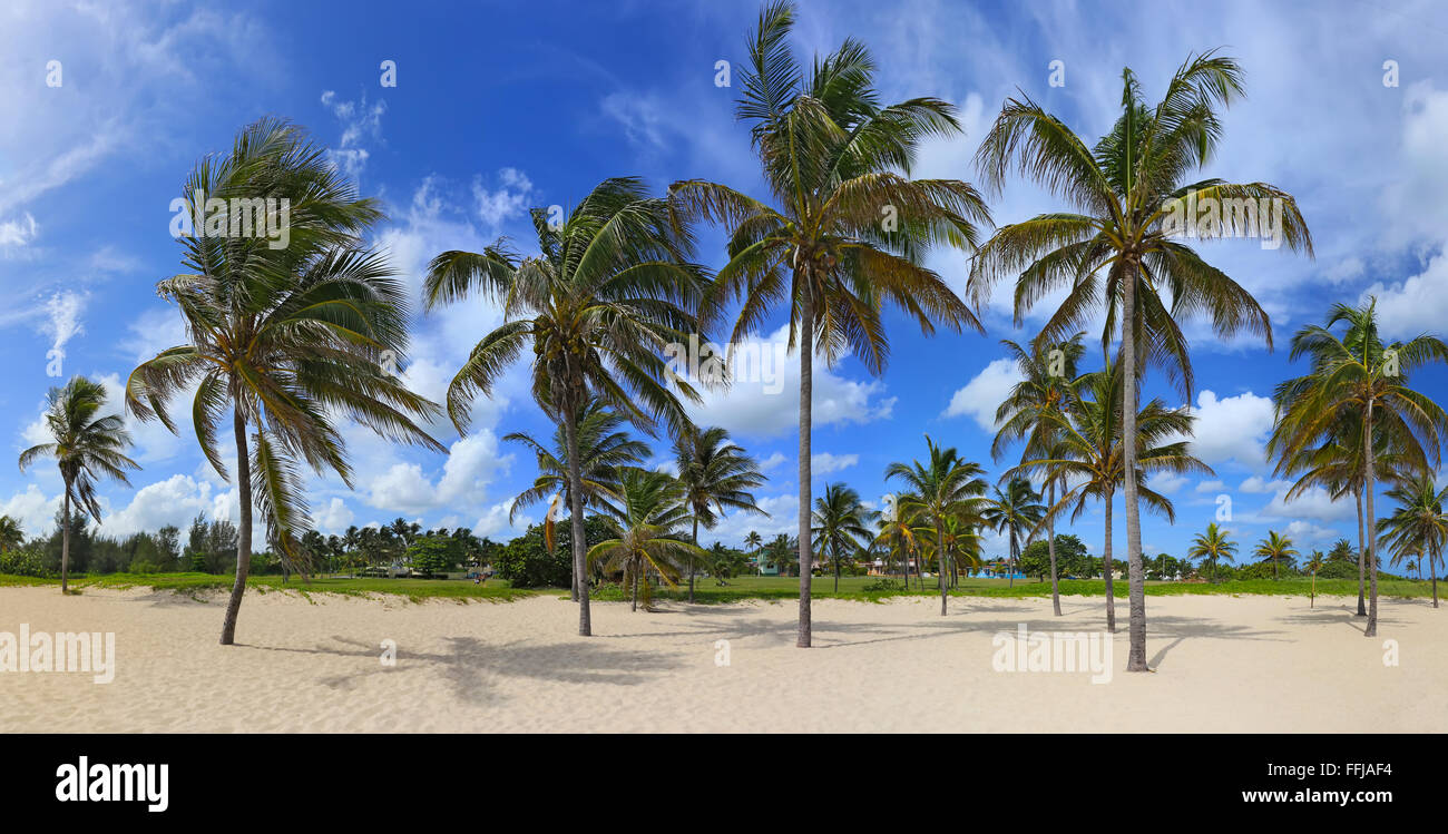 Caribbean tropical beach with beautiful white sand, turquoise water and ...