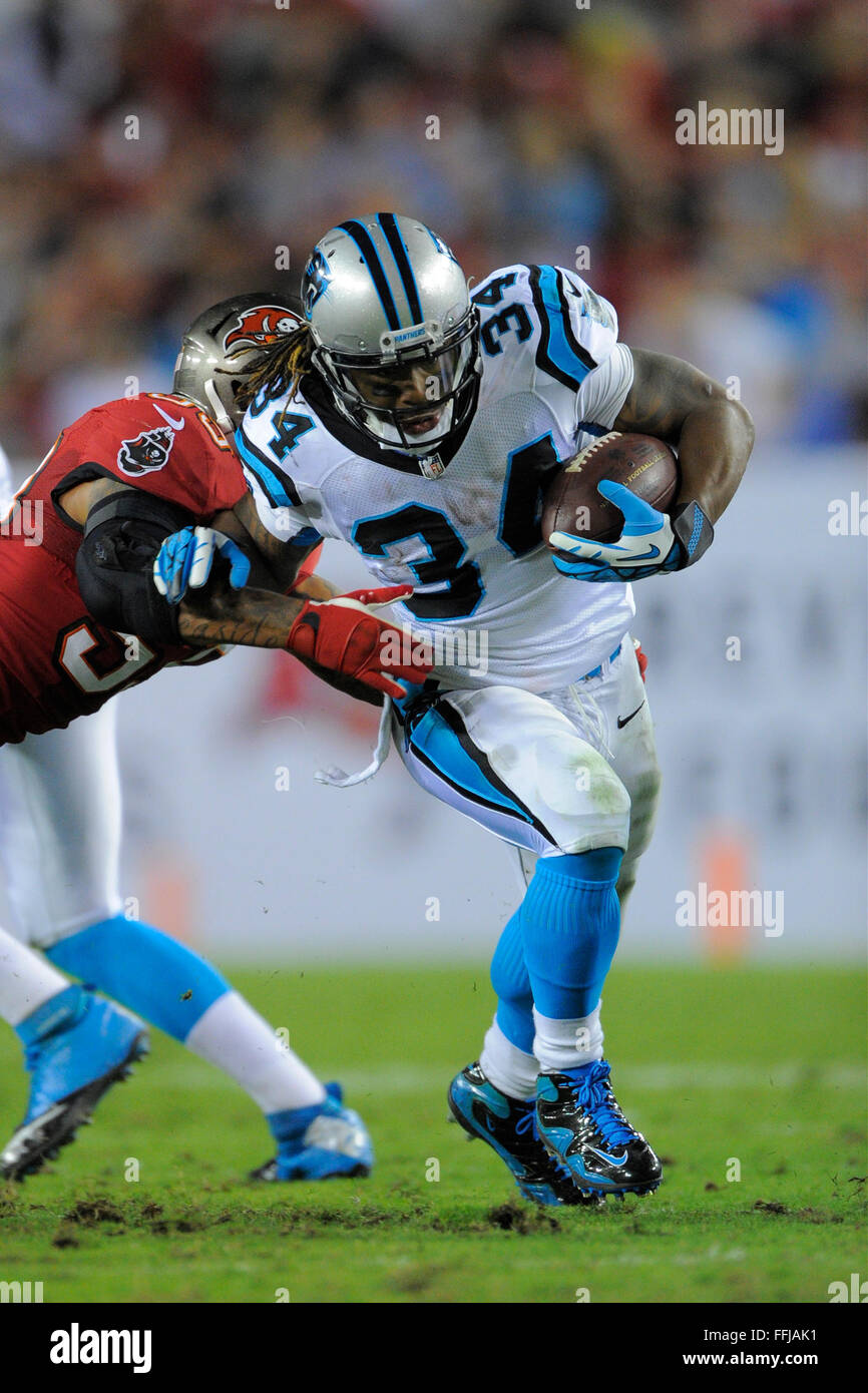 Tampa, FL, USA. 24th Oct, 2013. Carolina Panthers running back DeAngelo ...
