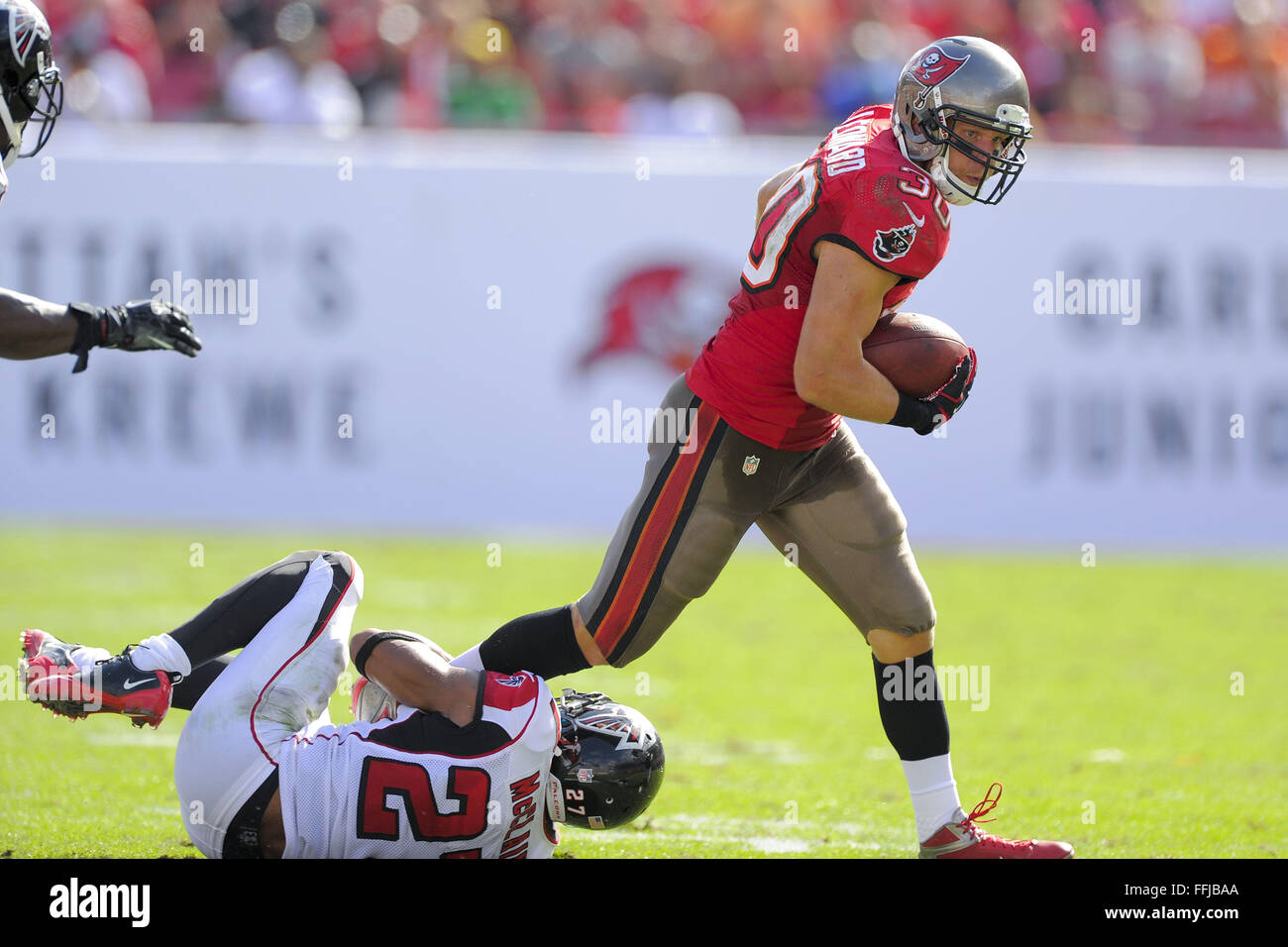 Tampa, FL, USA. 17th Nov, 2013. Tampa Bay Buccaneers running back Brian ...