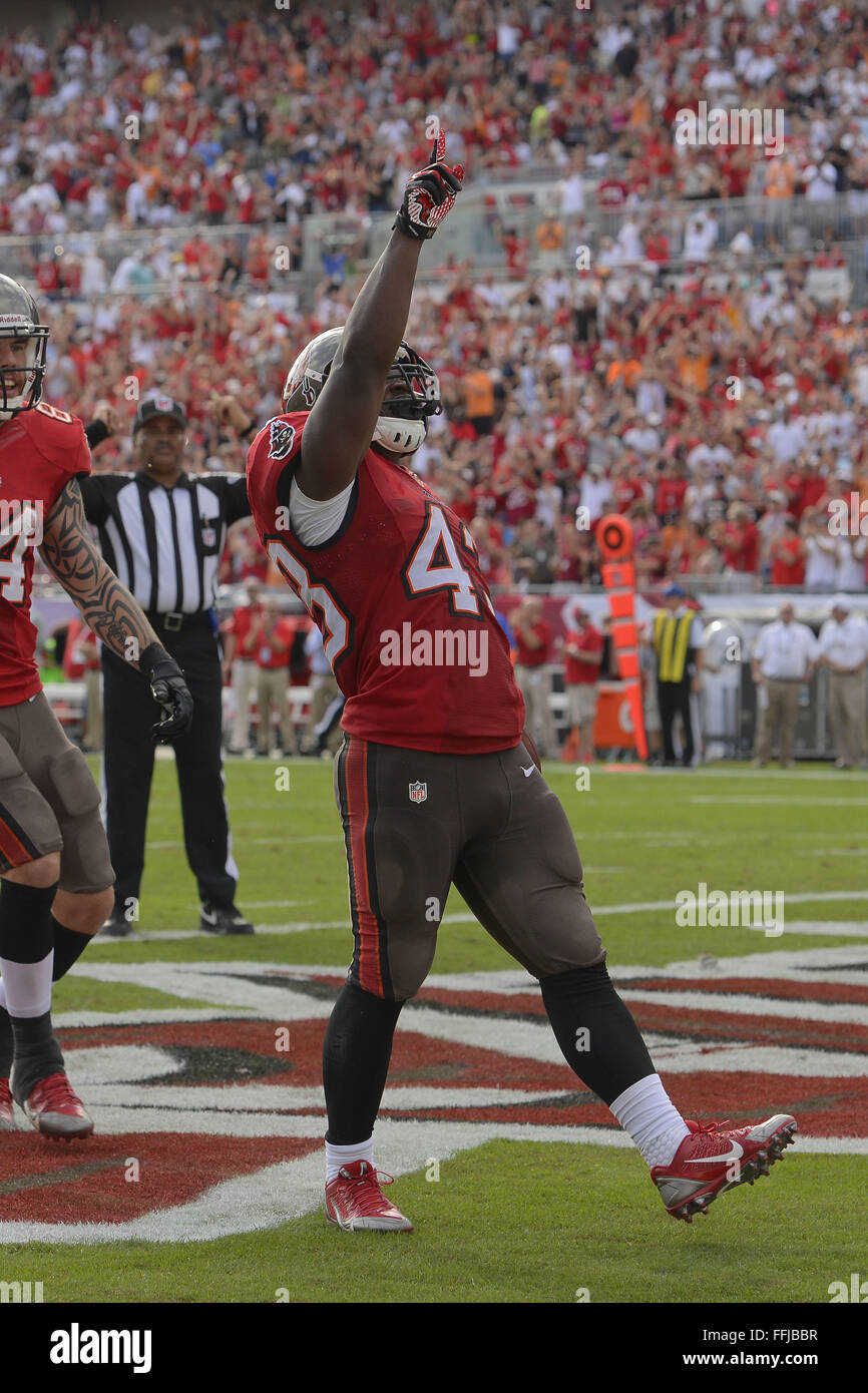 Tampa, FL, USA. 17th Nov, 2013. Tampa Bay Buccaneers running back Bobby ...