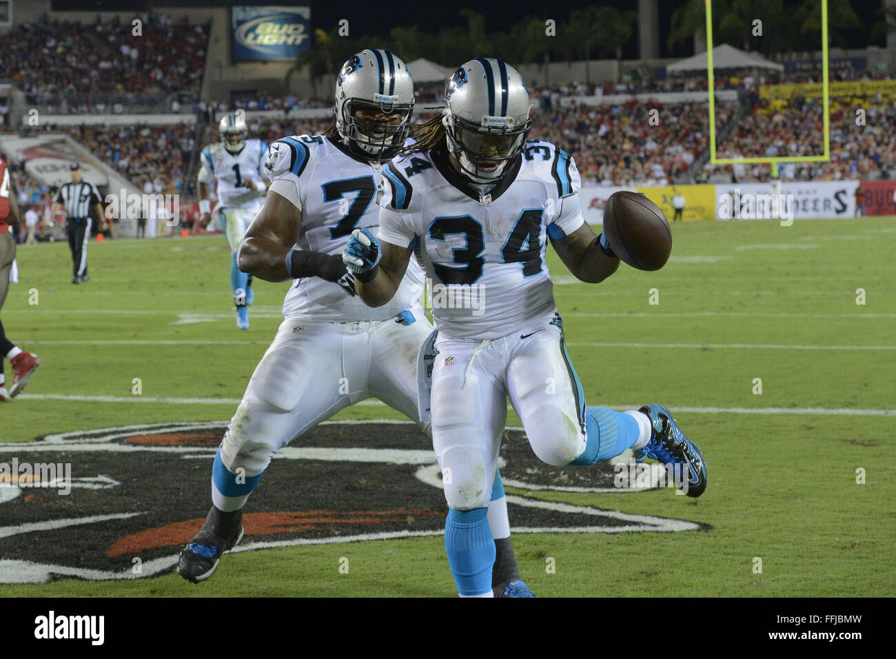 Tampa, FL, USA. 24th Oct, 2013. Carolina Panthers running back DeAngelo ...
