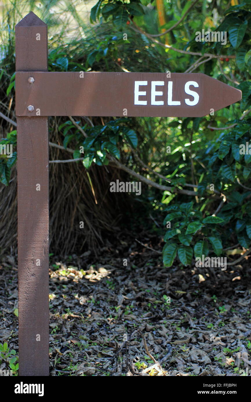 Eel Sign Post Stock Photo - Alamy