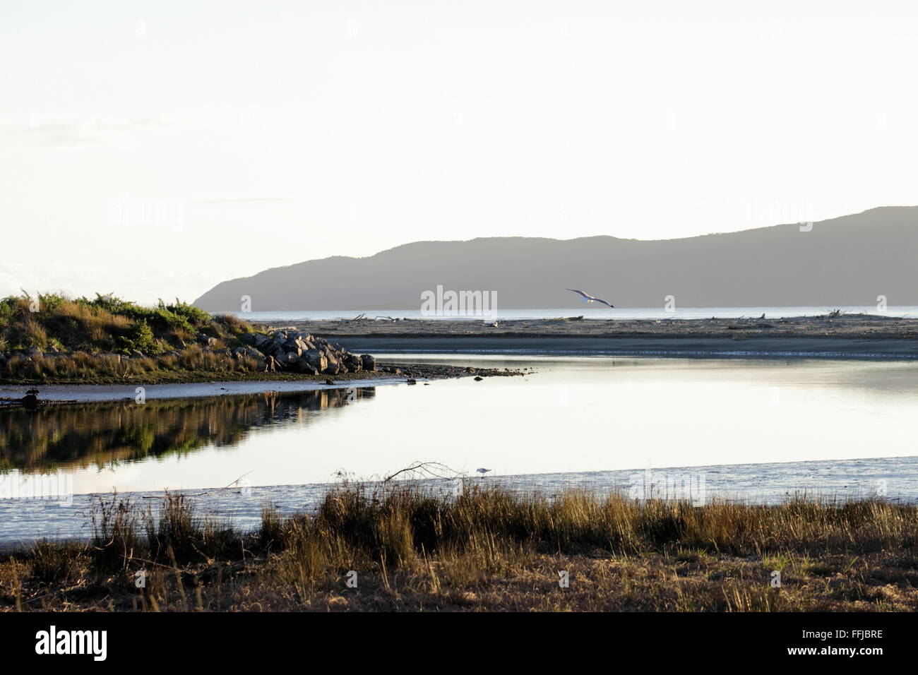 Waikanae Estuary High Resolution Stock Photography and Images - Alamy