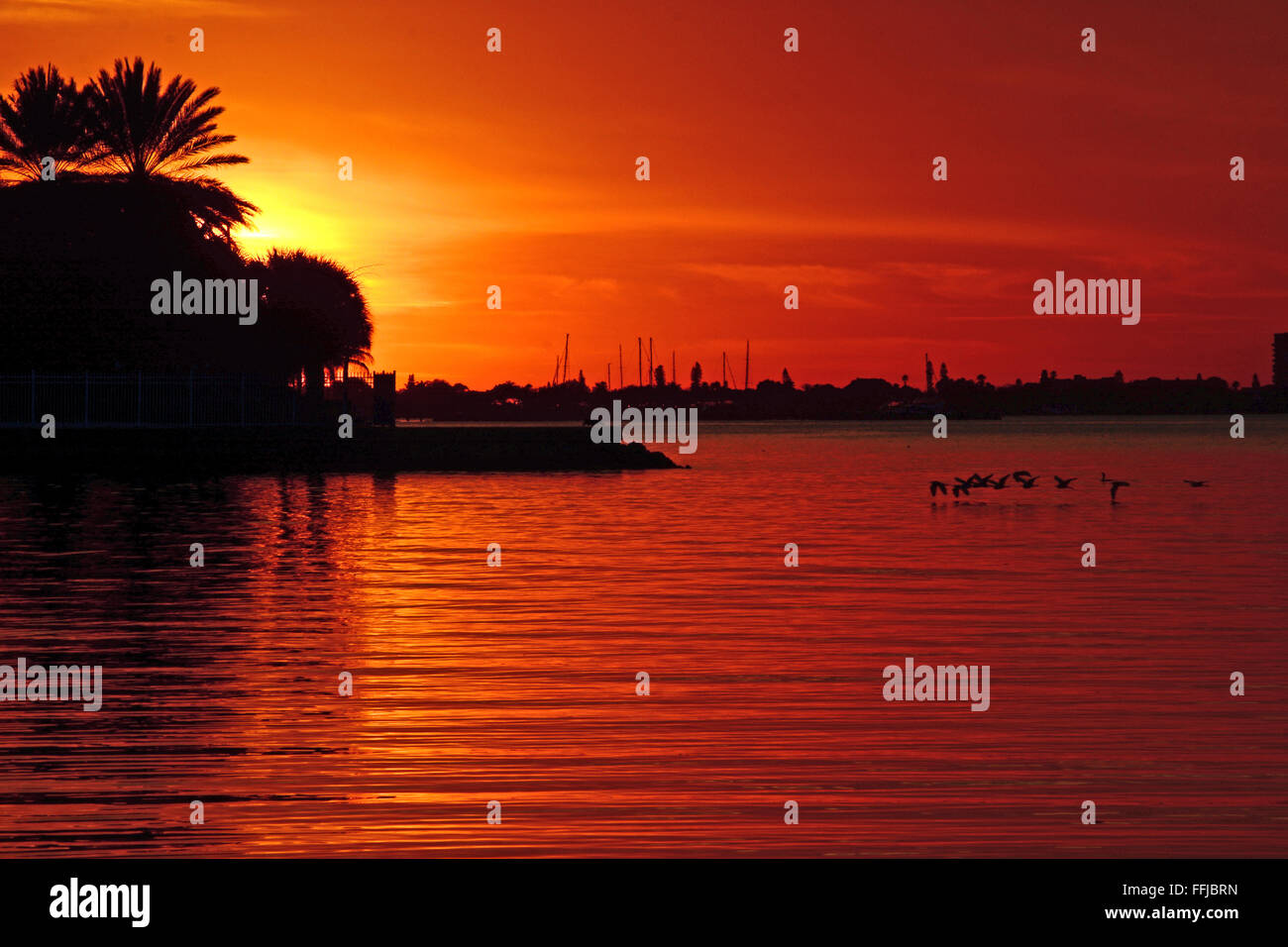 Tropical water birds yacht hi-res stock photography and images - Alamy