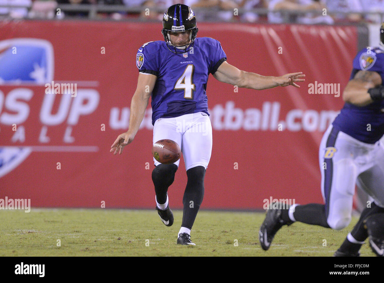 Baltimore ravens punter sam koch hi-res stock photography and images ...