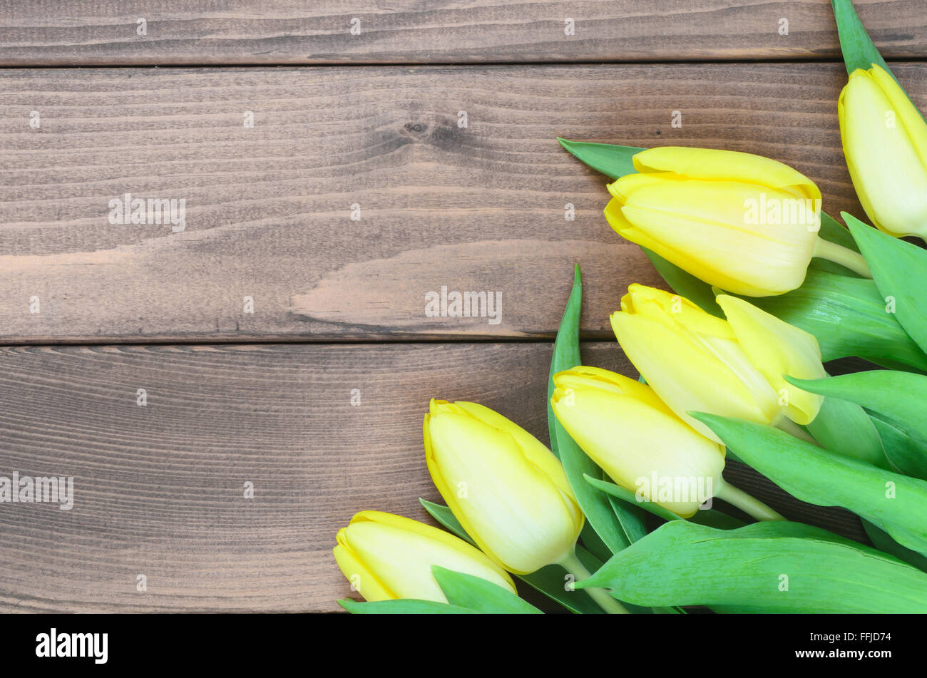 Spring tulip flowers hi-res stock photography and images - Alamy