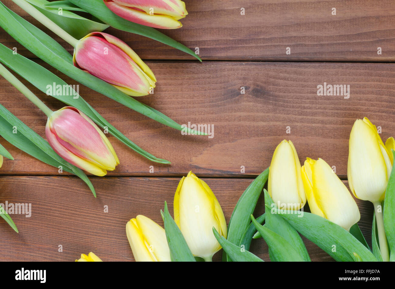 spring tulip flowers on wooden background Stock Photo - Alamy