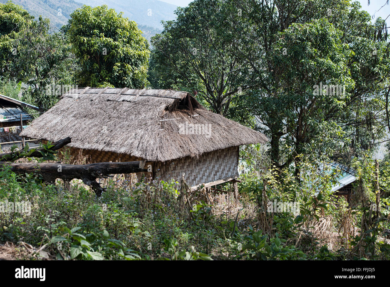 Thatched roof home outside of Mindat, Chin State, Myanmar Stock Photo ...