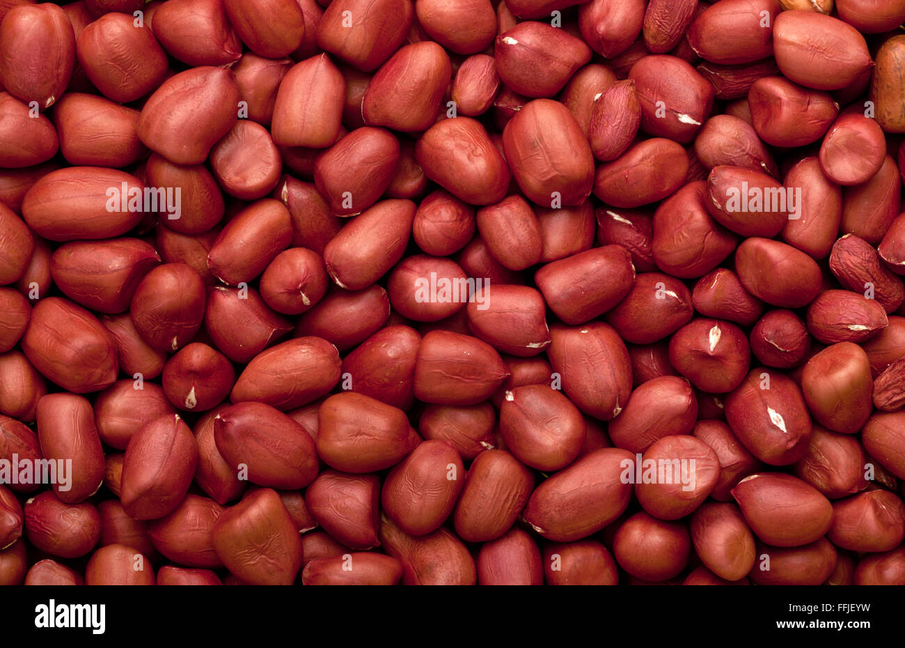 Closeup of lots of shelled peanuts Stock Photo - Alamy