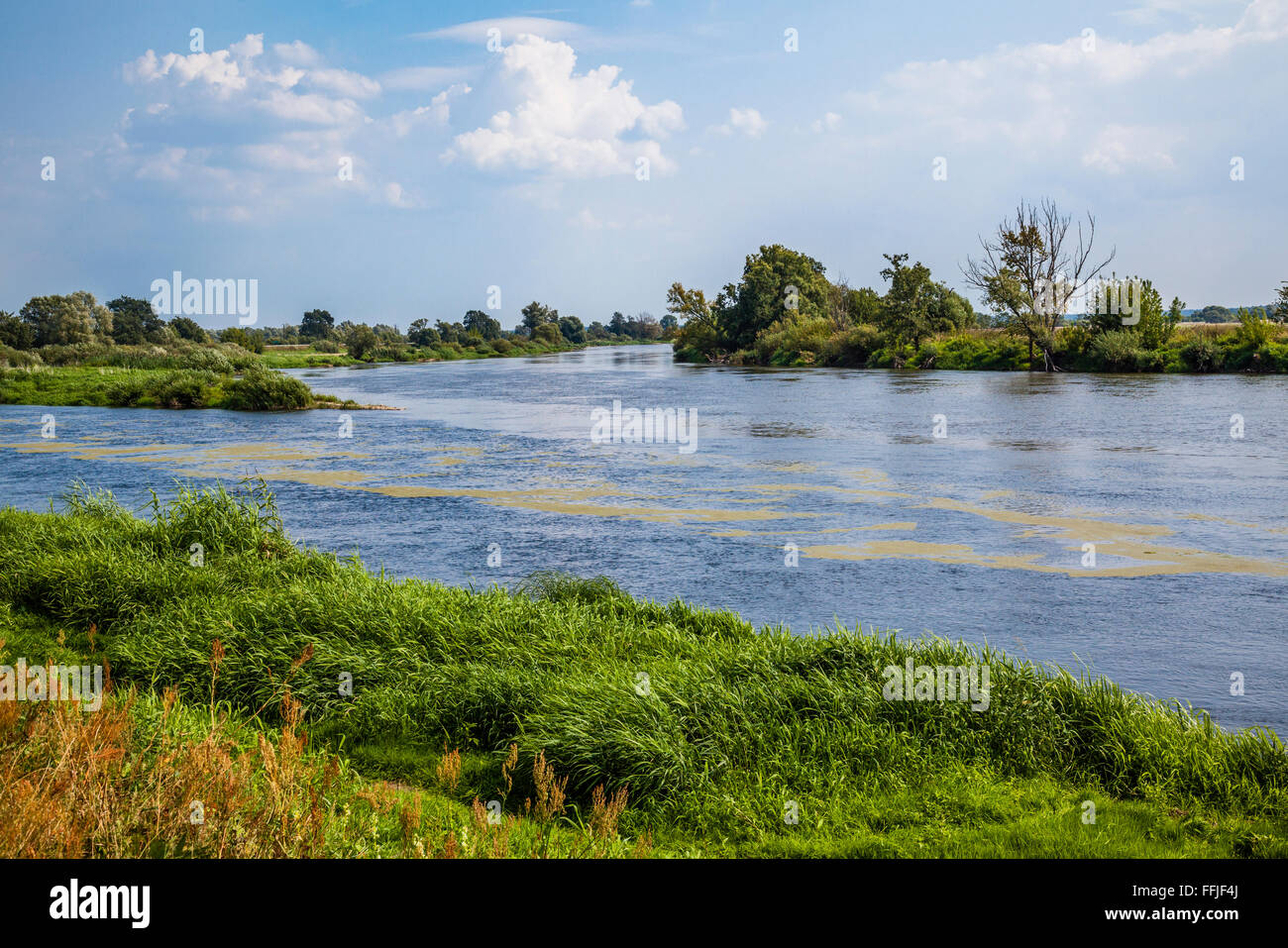 Western Poland, Lubuskie Province, confluence of the Warta, a tributary of the Oder River and ...