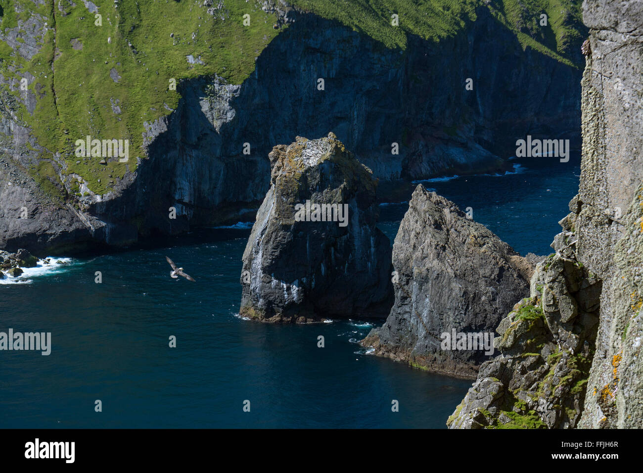 Soay island hi-res stock photography and images - Alamy