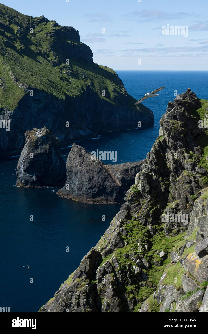 Soay island hi-res stock photography and images - Alamy