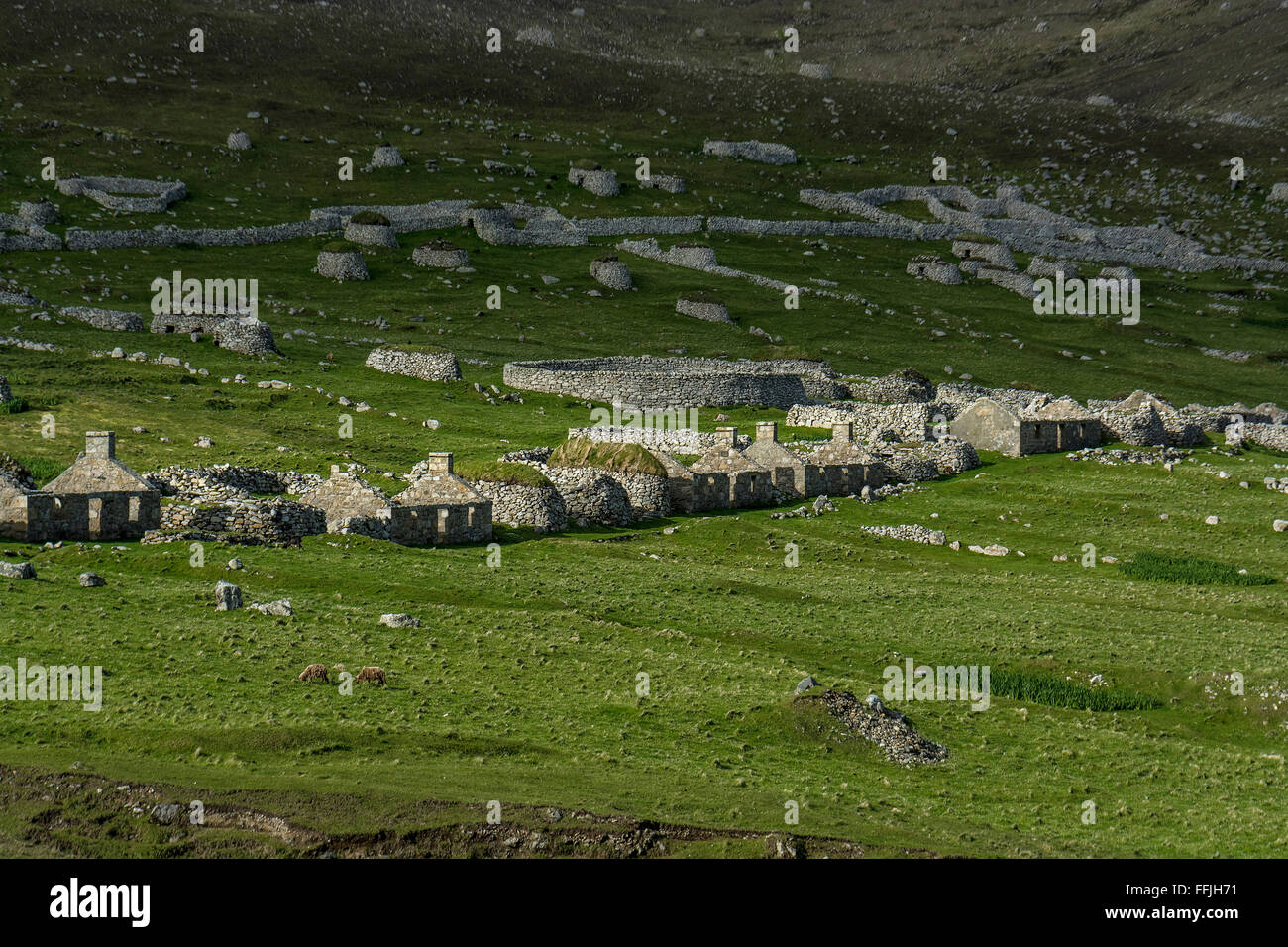 hirta island village street with cottages in care of nts Stock Photo ...