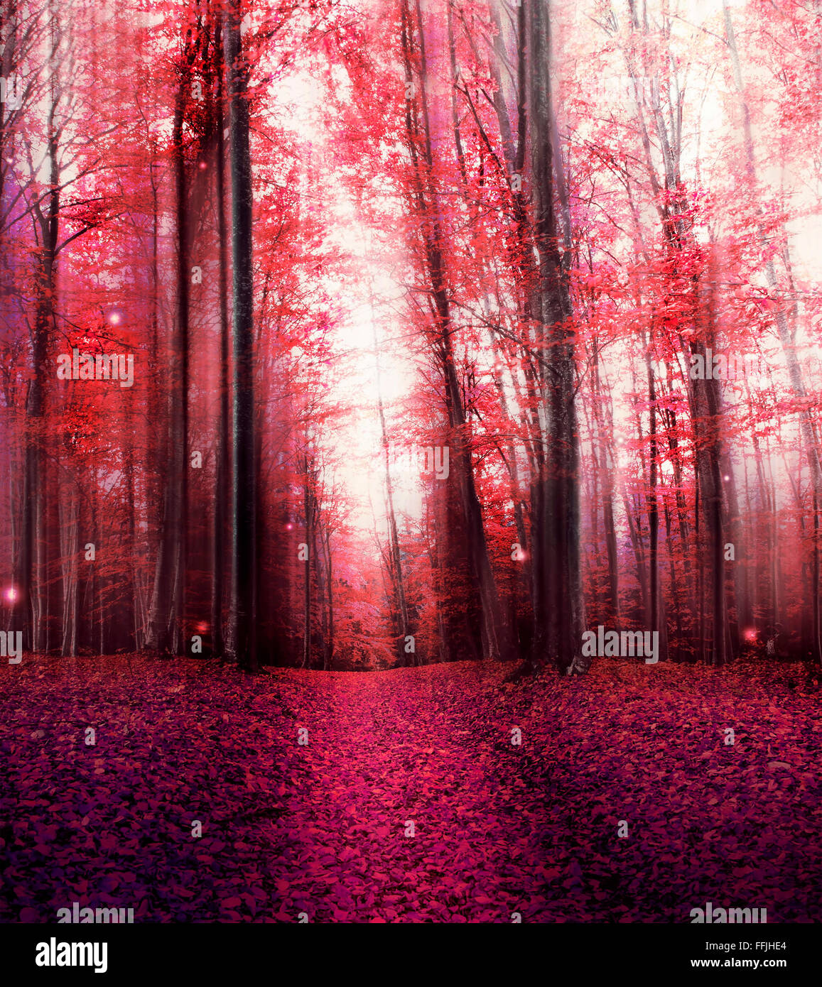 Red Magical Forest with Mist and Mysterious Lights Stock Photo - Alamy