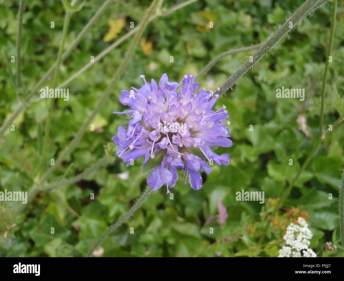 S columbaria hi-res stock photography and images - Alamy