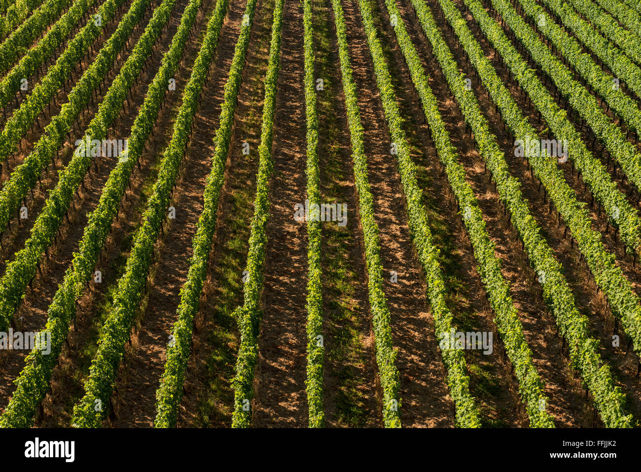 Riviera of germany hi-res stock photography and images - Alamy