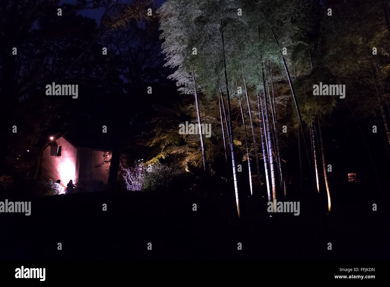 Rikugien garden hi-res stock photography and images - Alamy