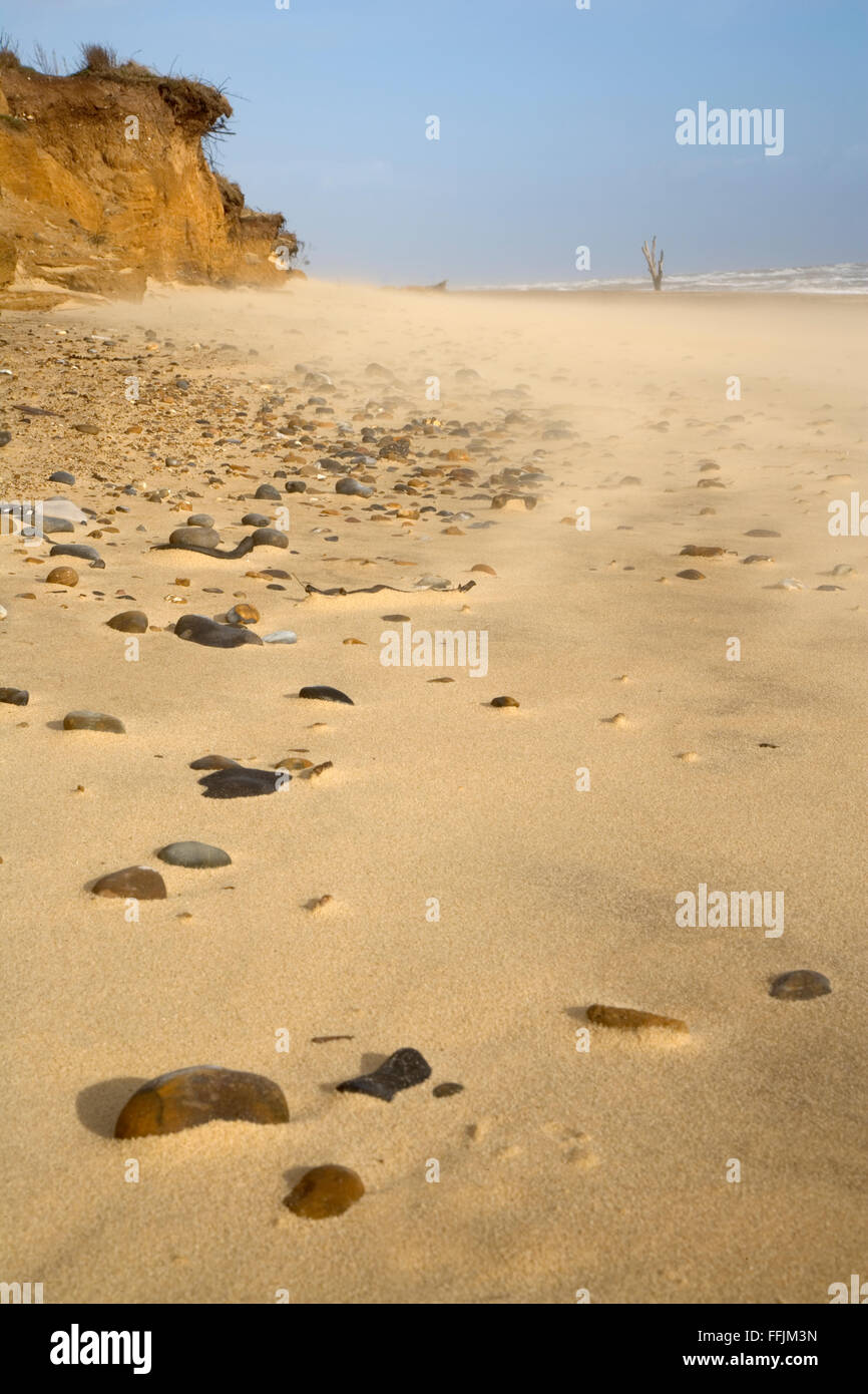 Pebbles on Covehithe beach, with windblown sand and crumbling cliffs ...