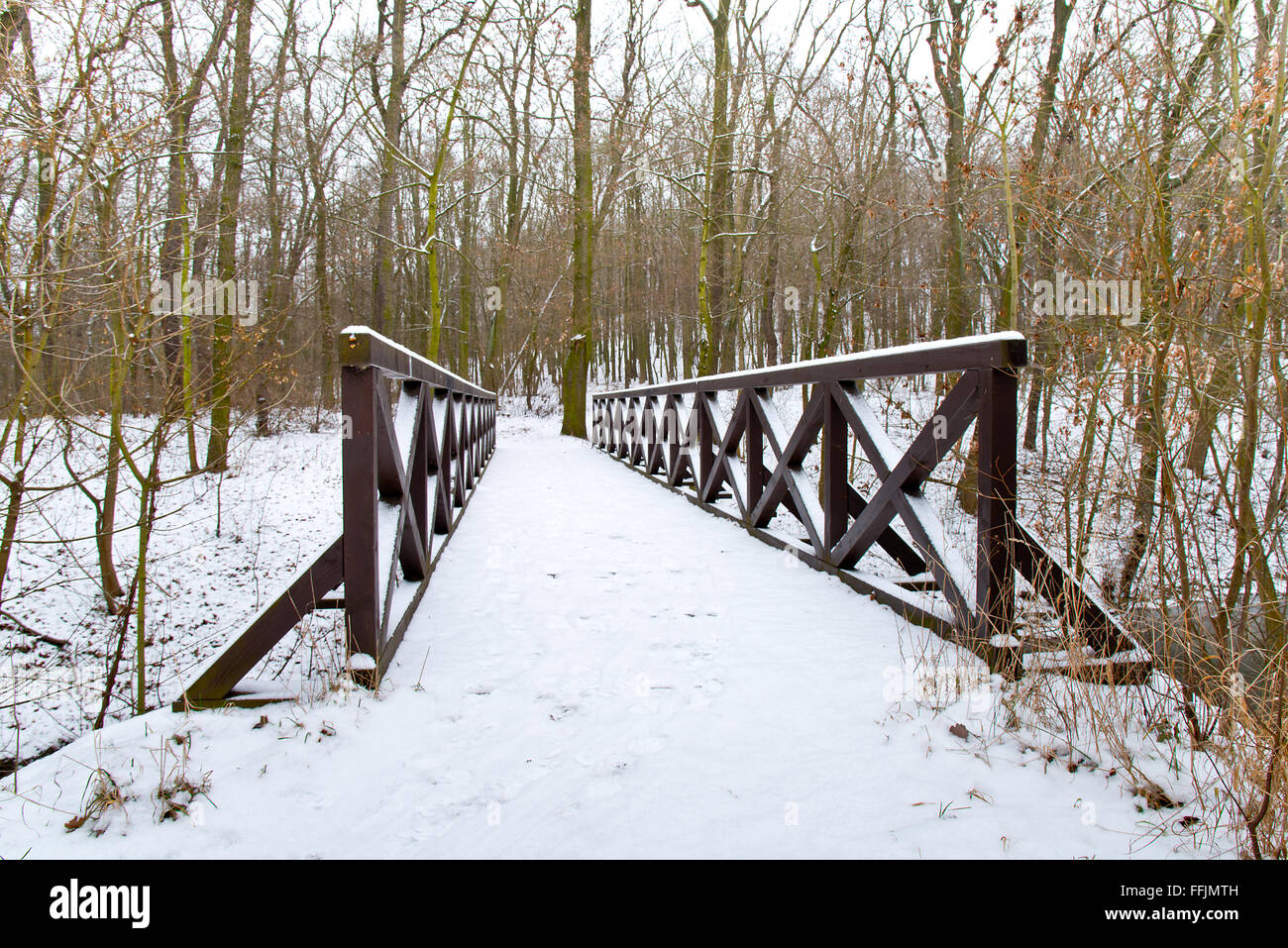 pedestrian bridge in the forest in the winter Stock Photo - Alamy