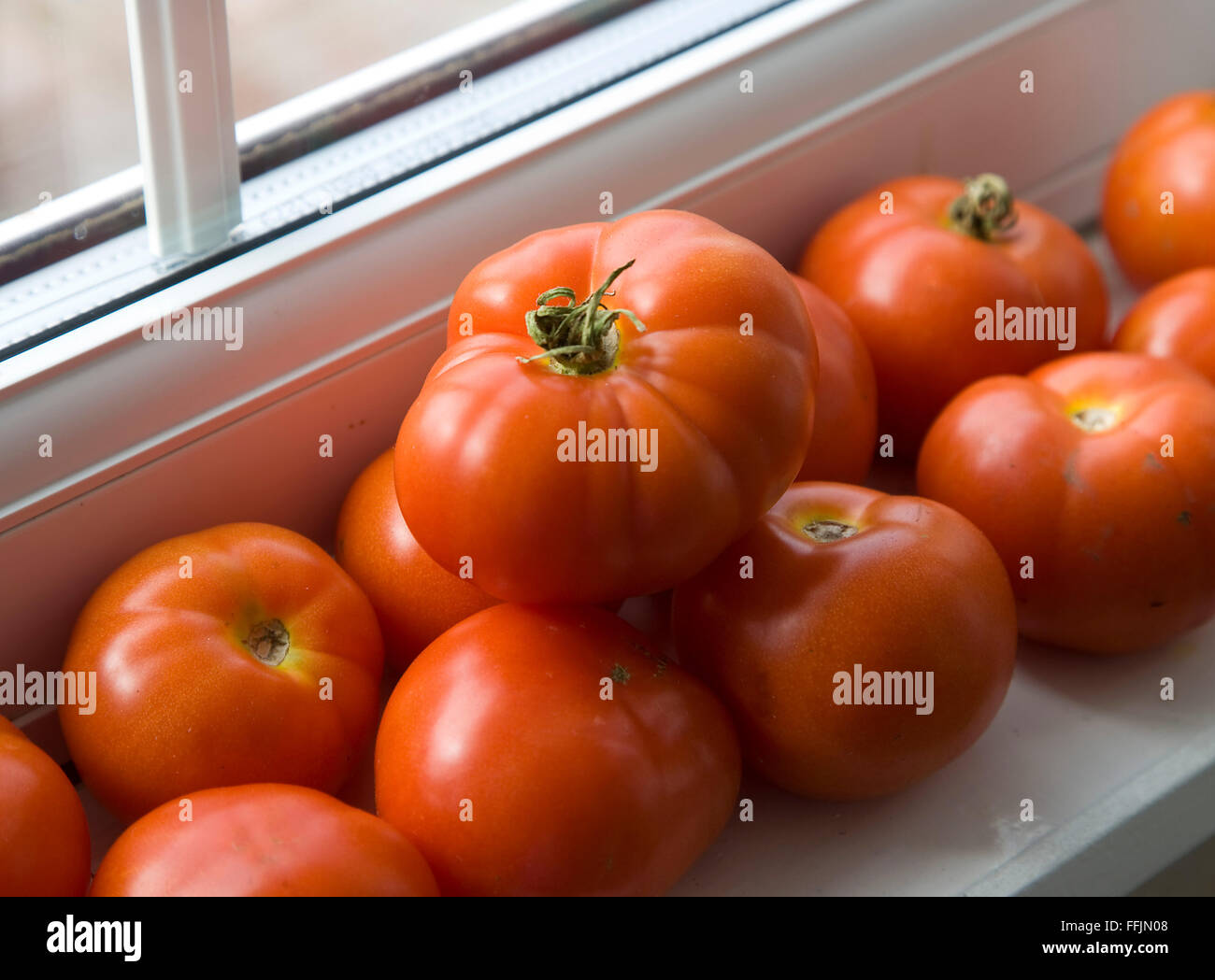 Garden on a windowsill hi-res stock photography and images - Alamy