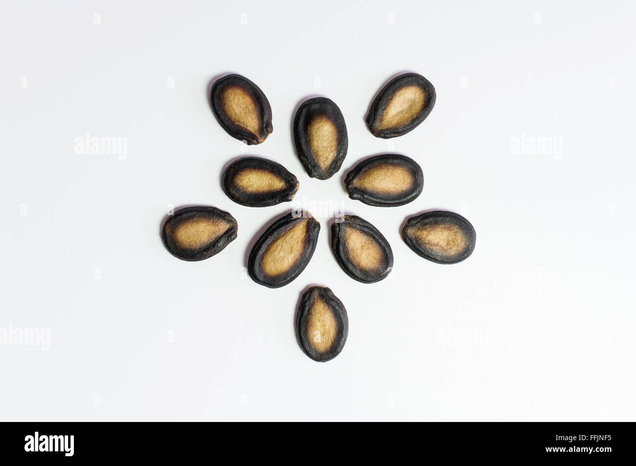 Watermelon seeds hi-res stock photography and images - Alamy