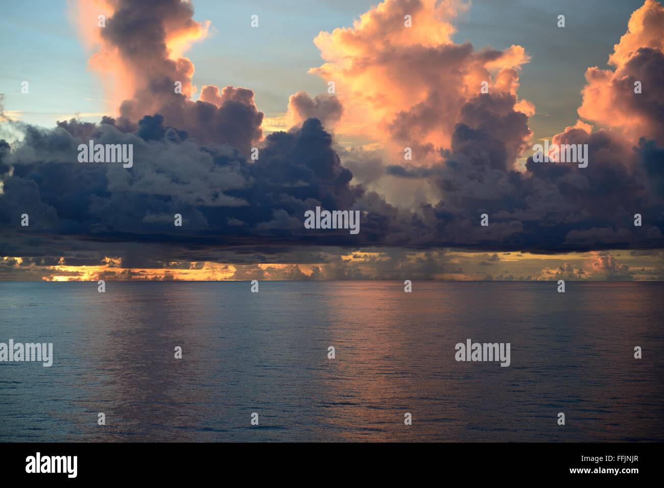 An exciting and very colorful photograph captured in the pacific ocean ...