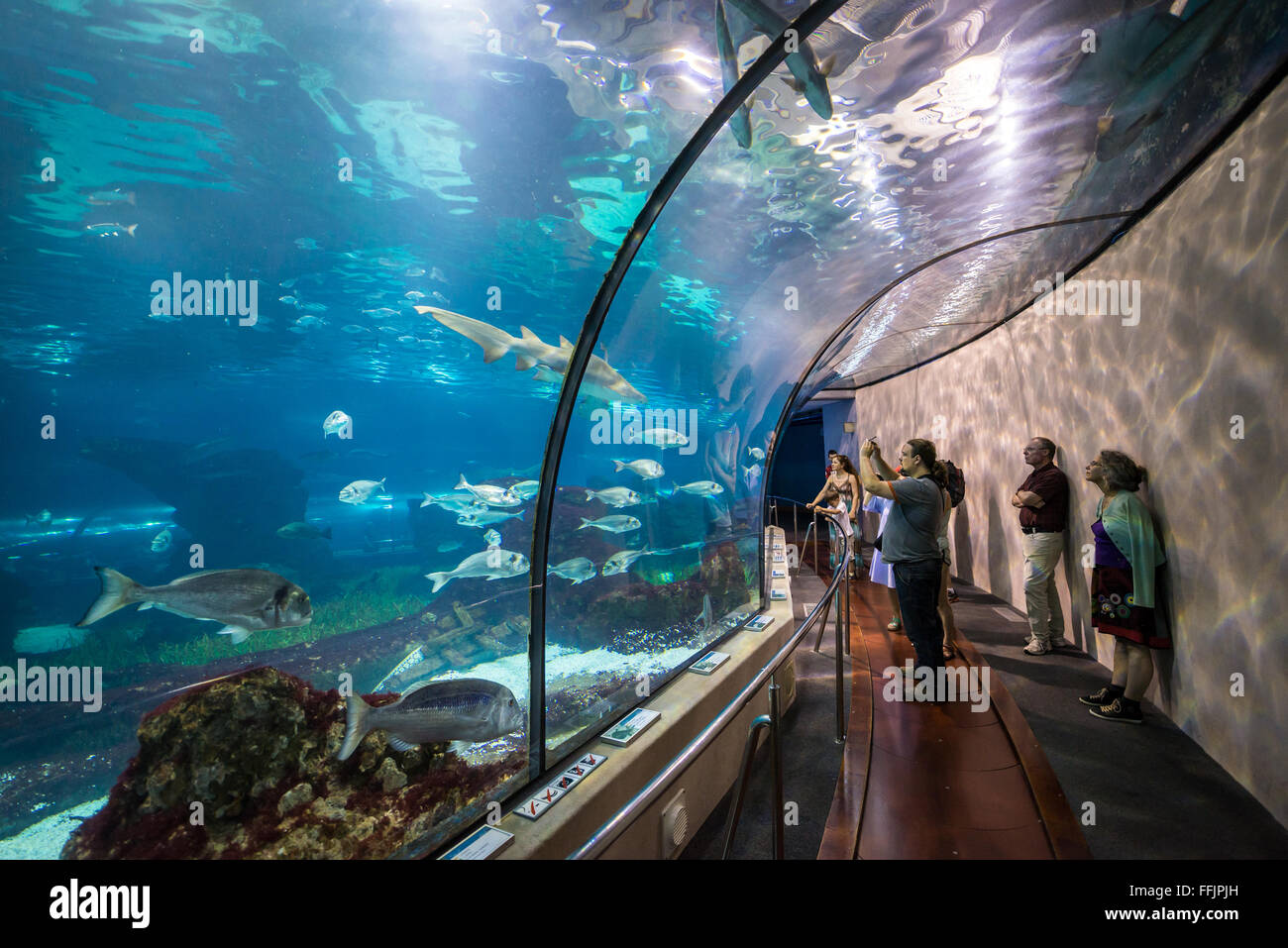 Visitors in underwater tunnel of Barcelona Aquarium, Port Vell harbor ...