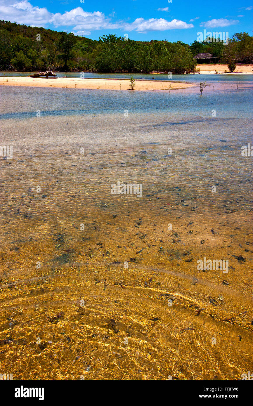 pond coastline river in the blue lagoon relax and bush madagascar nosy ...