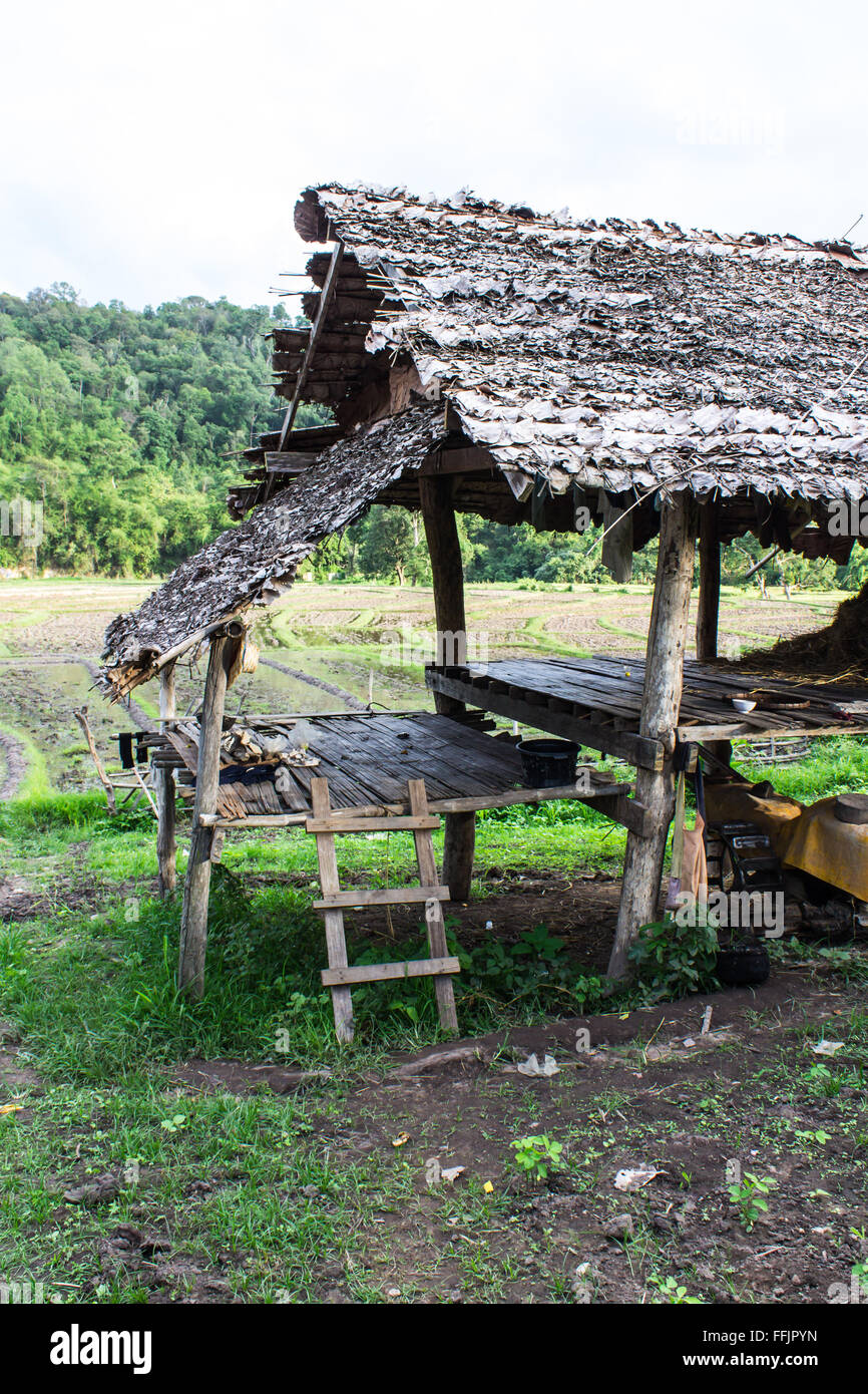 Hut in countryside, Thailand Stock Photo - Alamy