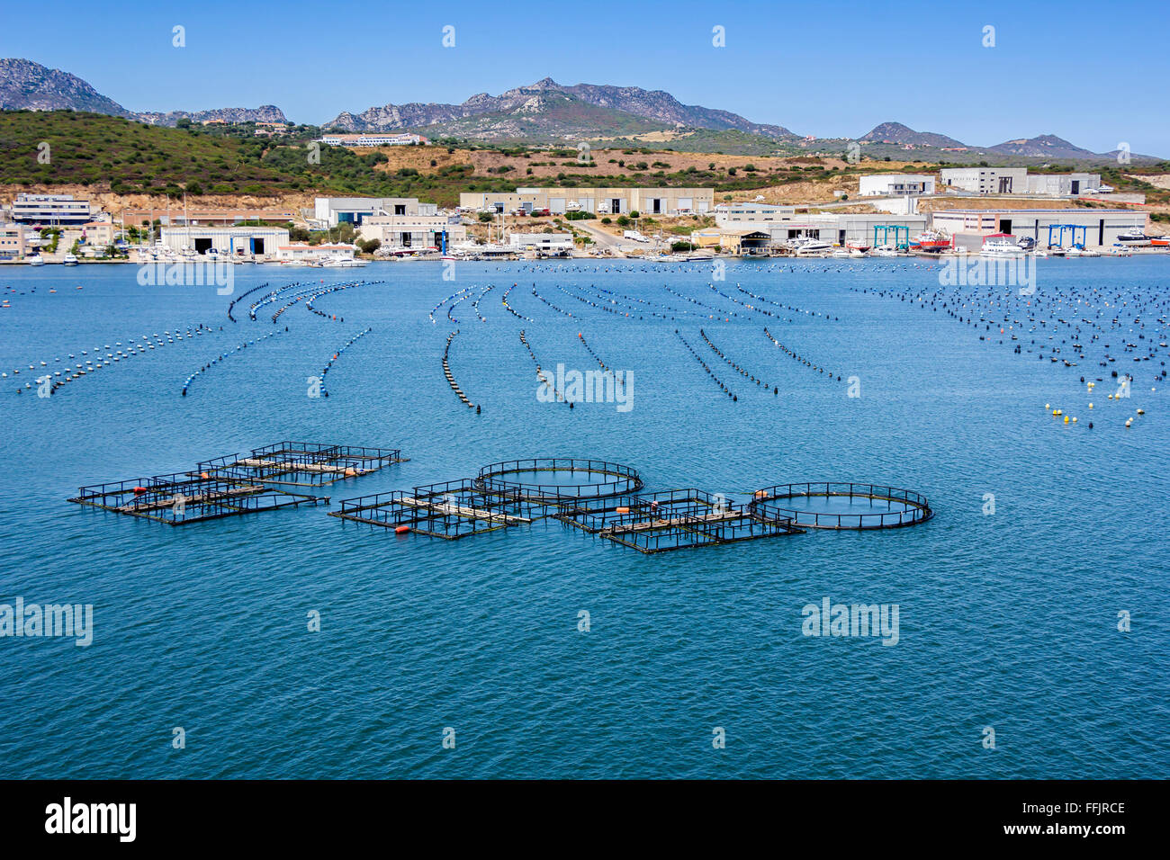 Aquaculture cage fish farming net hi-res stock photography and images ...
