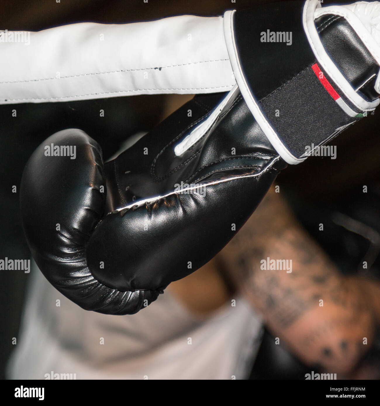 Black Boxing Glove Linked to Ring Ropes and Boxer's Tatooed Arm in ...