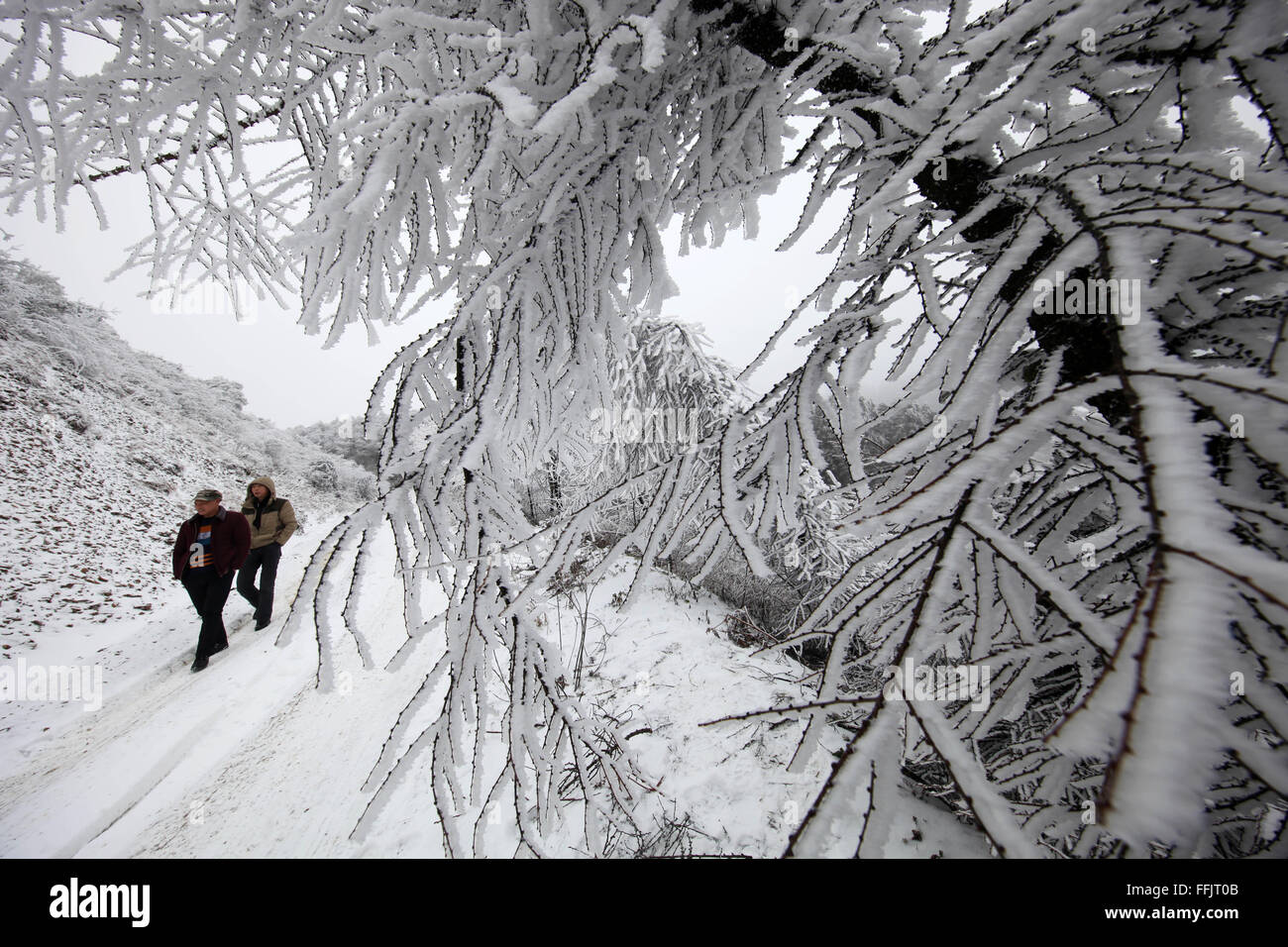 Chongqing, China. 15th Feb, 2016. People view rime scenery at Qianjiang ...