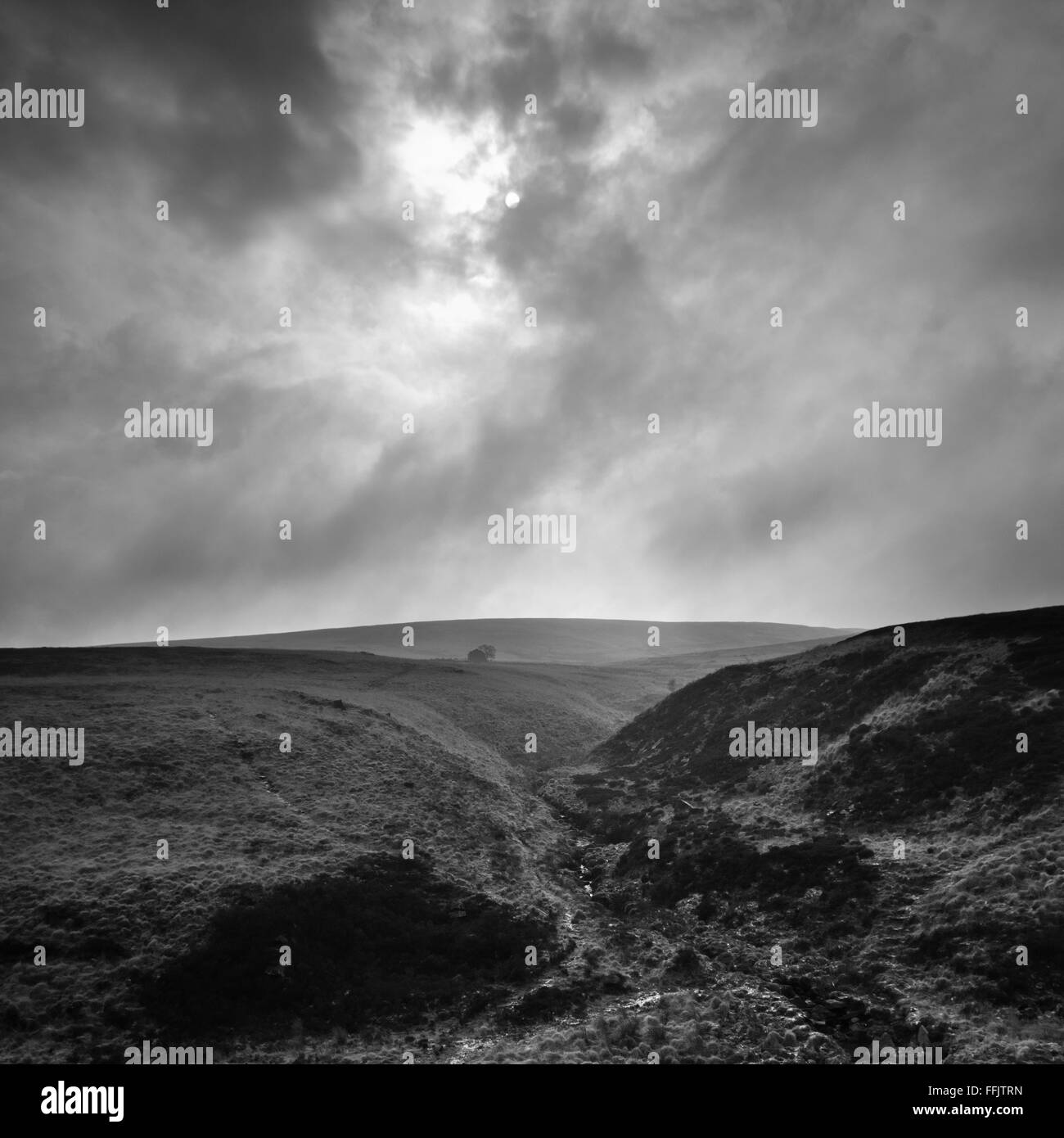 Clegg foot hi-res stock photography and images - Alamy