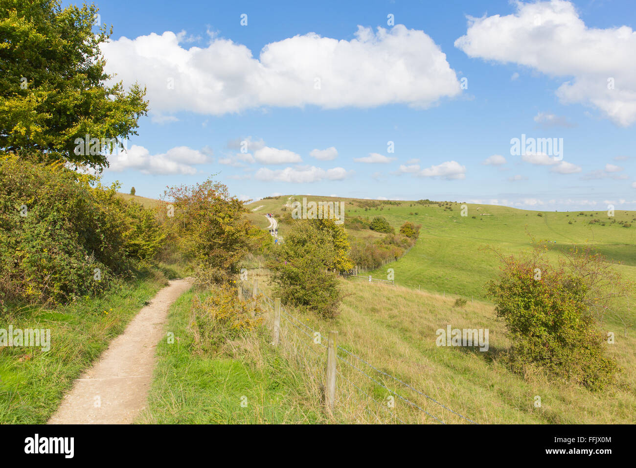 Path to Ivinghoe Beacon Chiltern Hills Buckinghamshire England UK ...