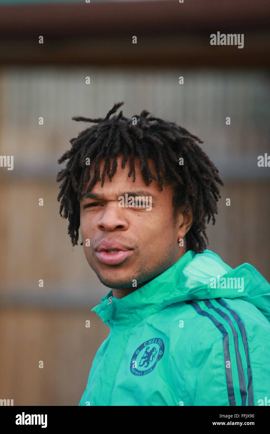 Loric hi-res stock photography and images - Alamy