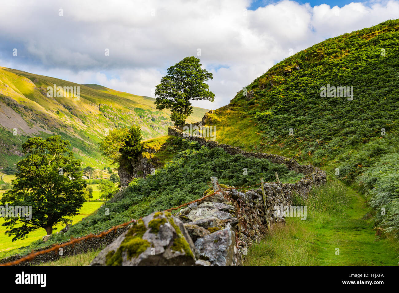 Country path along a farm wall, St John's in the Vale, Lake District ...
