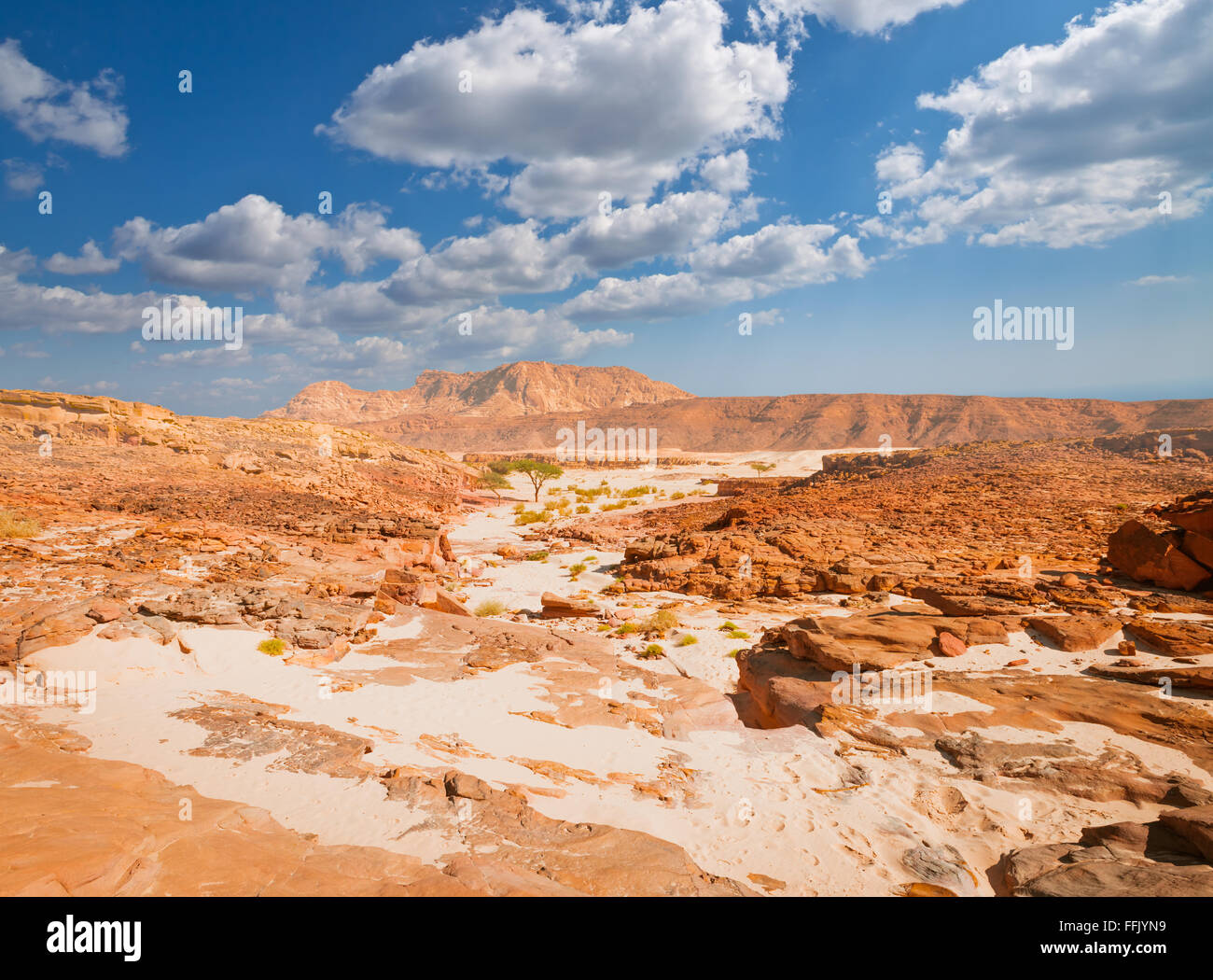 Sinai desert landscape Stock Photo - Alamy