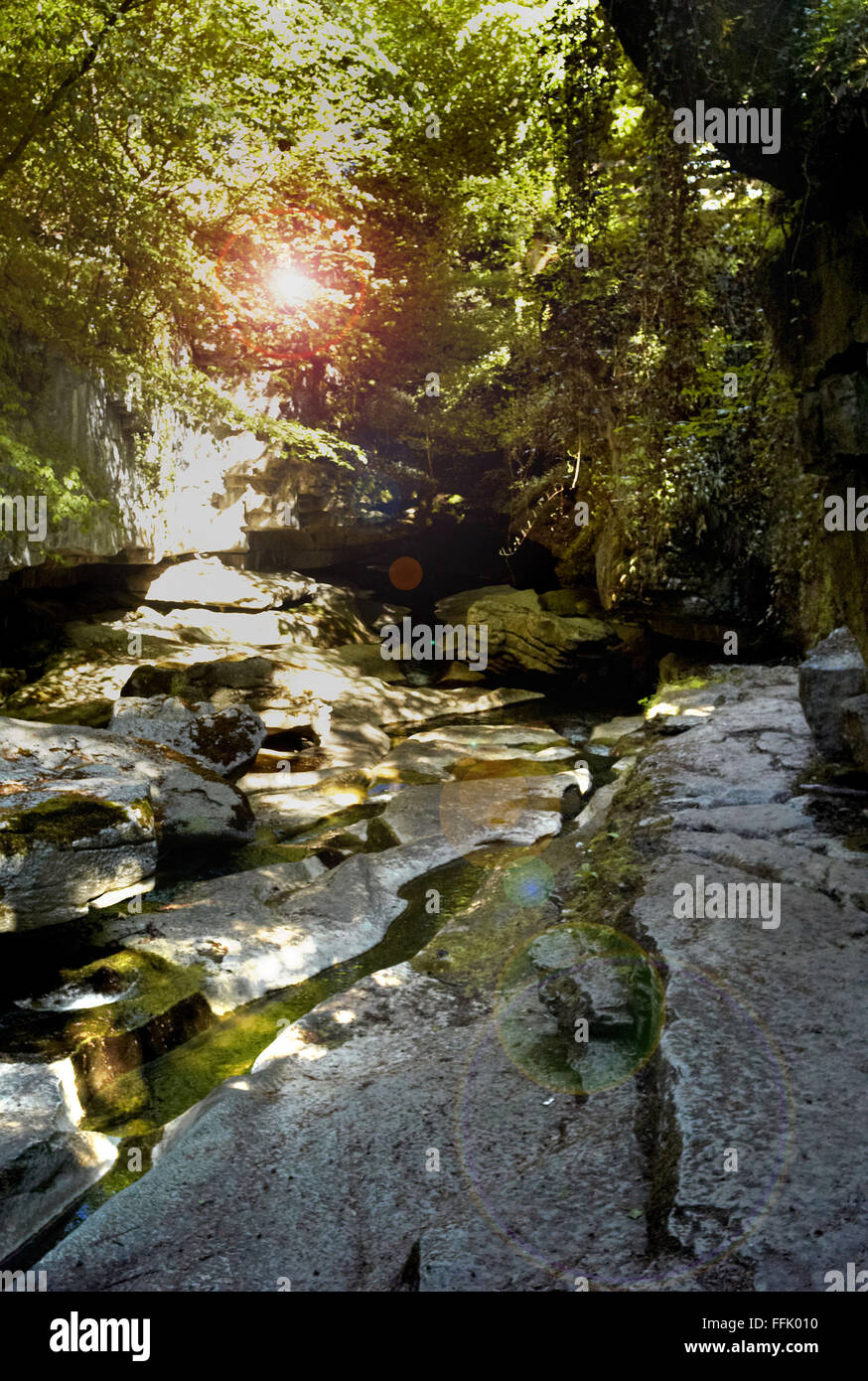 How Stean Gorge, Nidderdale, Yorkshire Stock Photo - Alamy