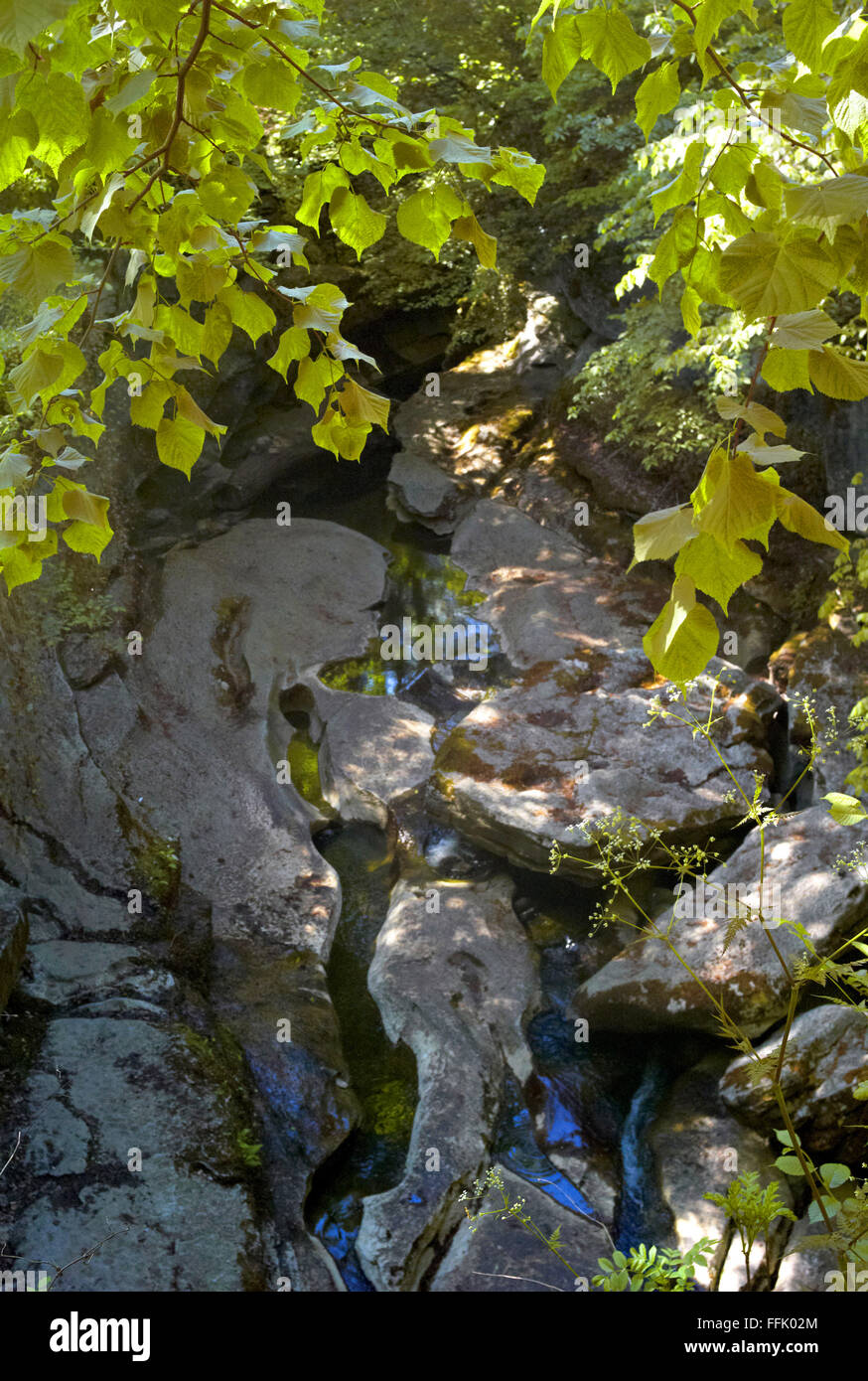 How Stean Gorge, Nidderdale, Yorkshire Stock Photo - Alamy