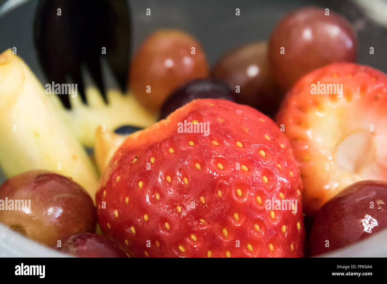Food in plastic tub hi-res stock photography and images - Alamy