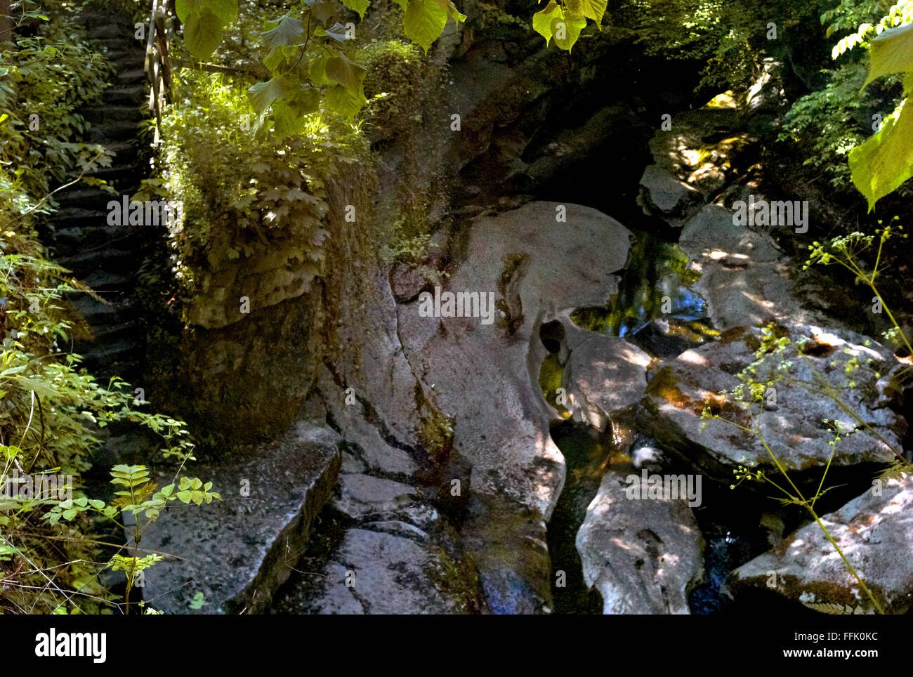 How Stean Gorge, Nidderdale, Yorkshire Stock Photo - Alamy