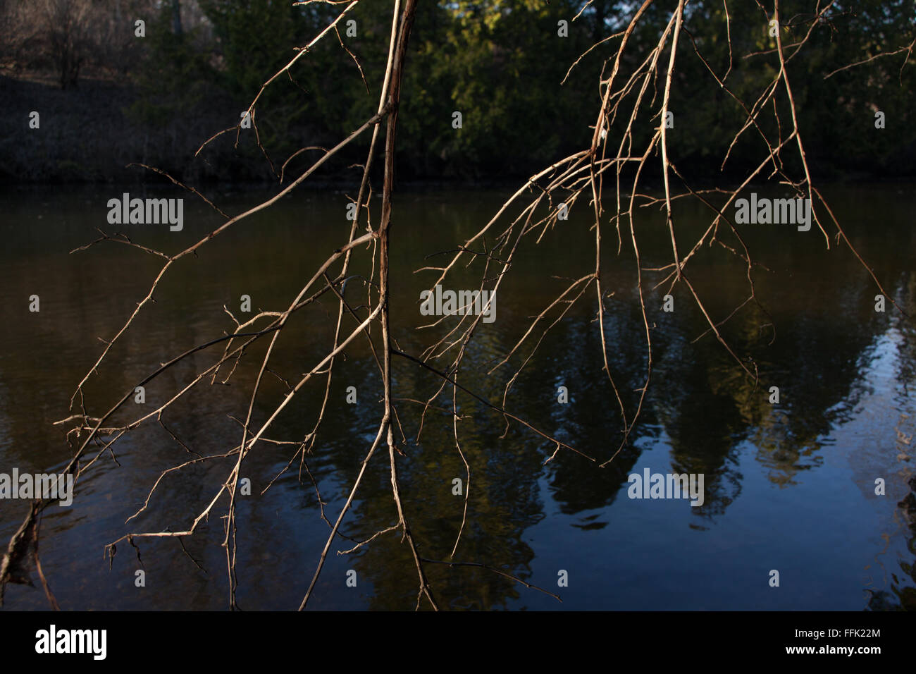 Overhanging tree branches hi-res stock photography and images - Alamy