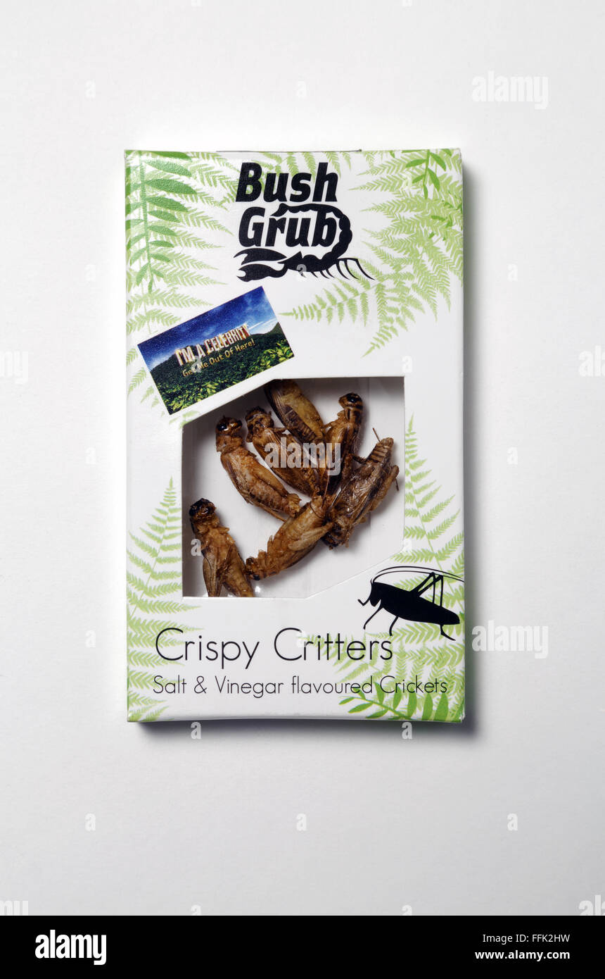 Packaged edible insects Stock Photo - Alamy