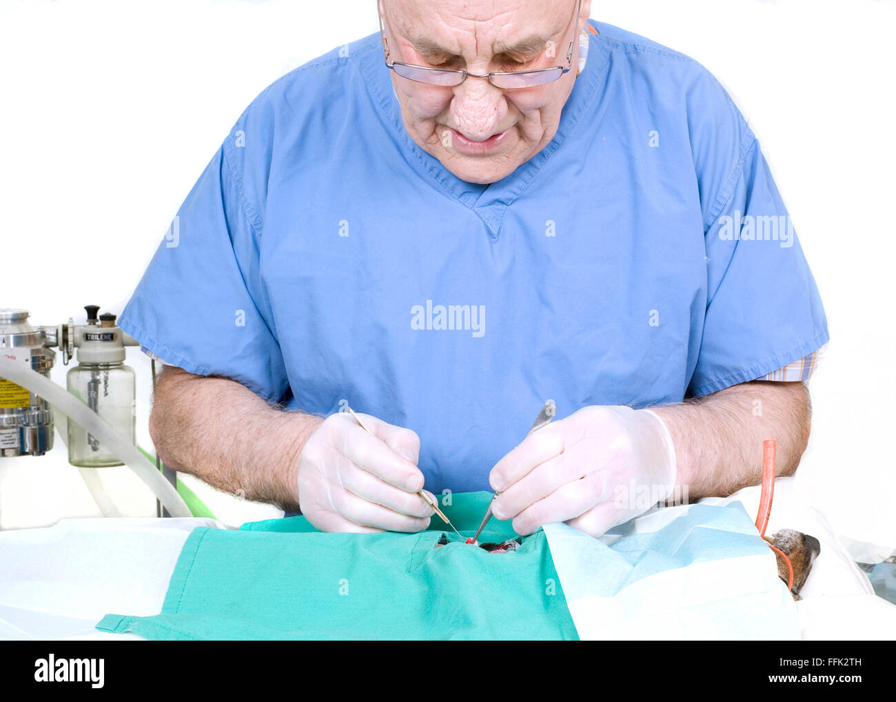 Operating on dog hi-res stock photography and images - Alamy