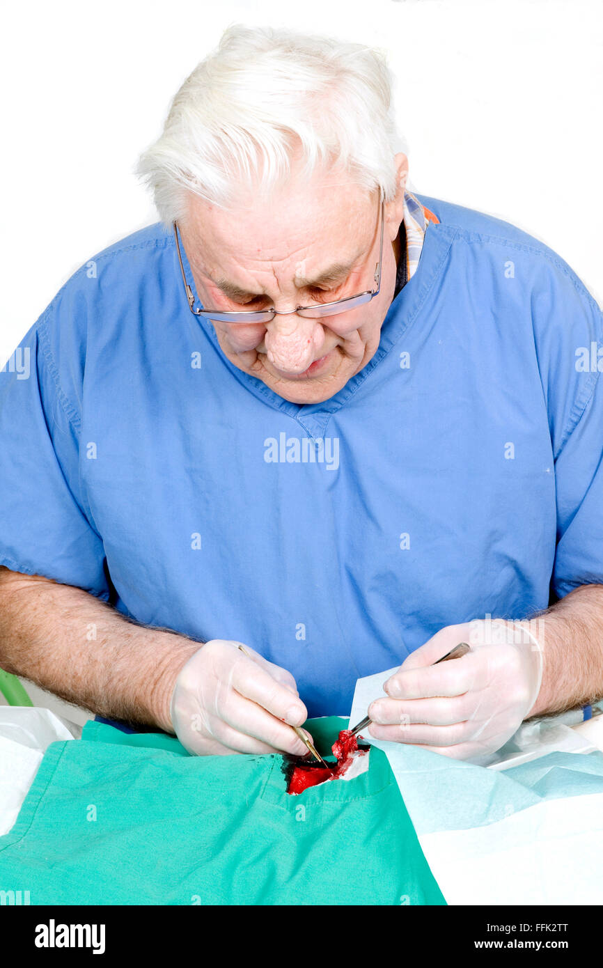 Older vet working hi-res stock photography and images - Alamy