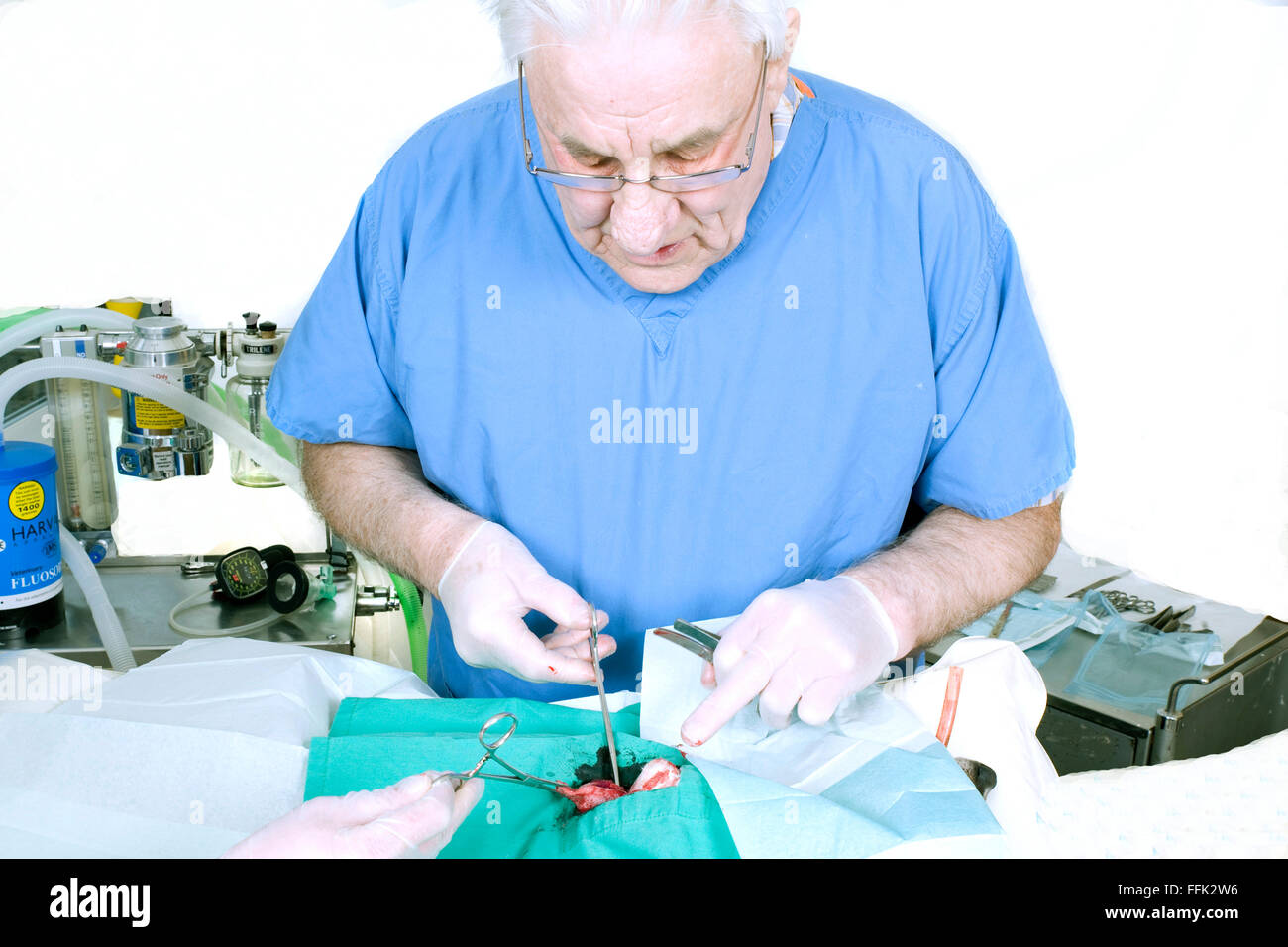 Vet operating on dog with operation equipment Stock Photo - Alamy
