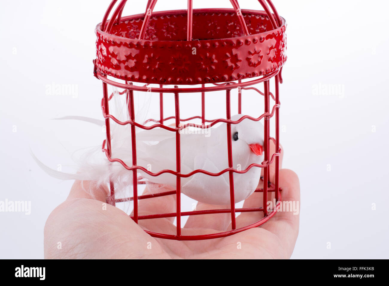 Bird in a birdcage Stock Photo - Alamy